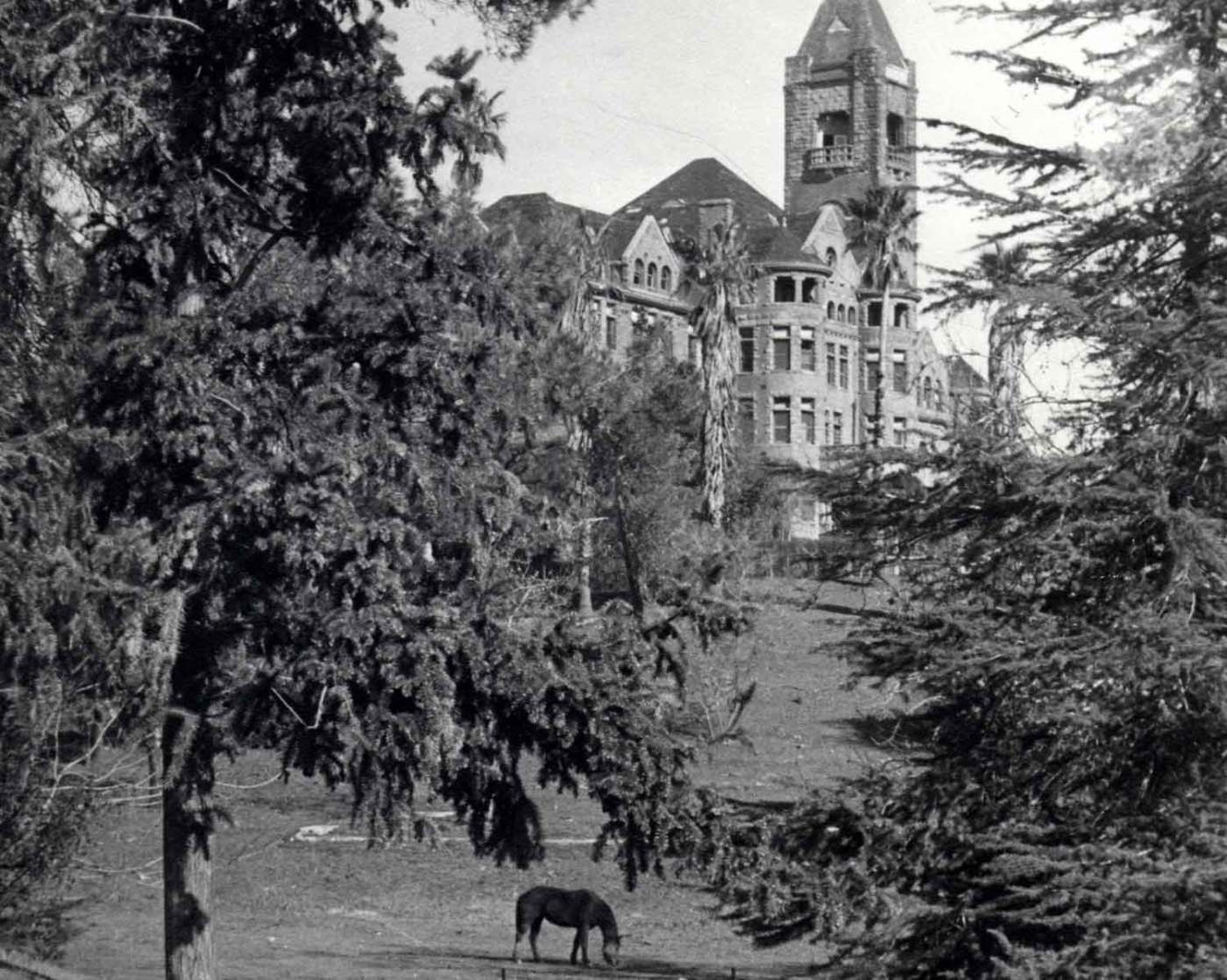 About Preston Castle | Preston Castle Foundation Ione, CA